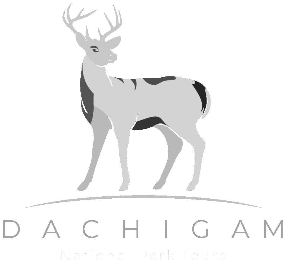 Dachigam National Park Tours – Adventure Begins Here
